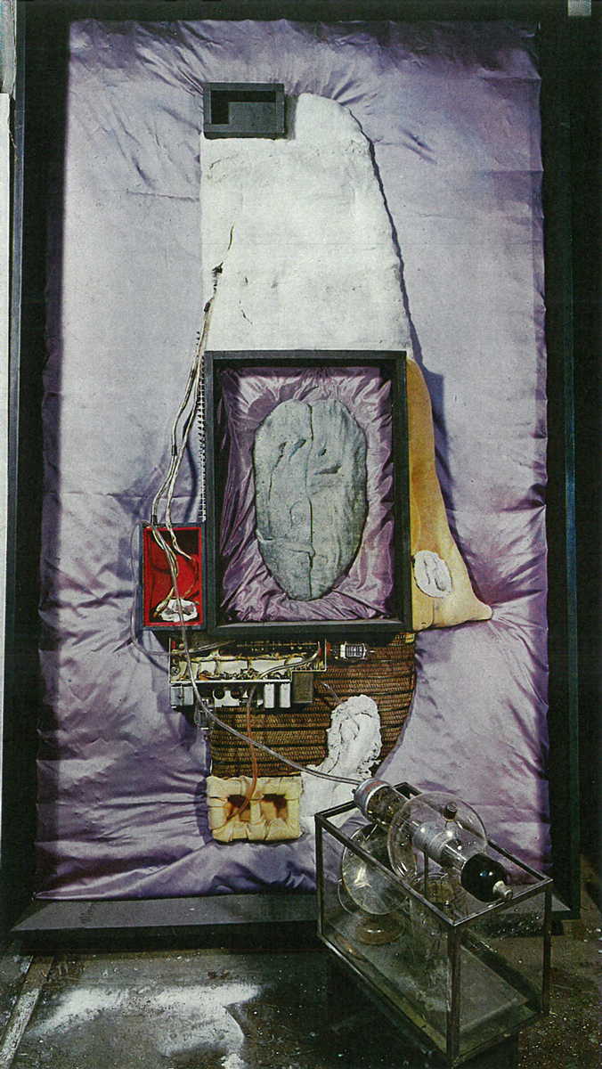 Ambiguous Zones, 11 – Reversible Destiny Foundation