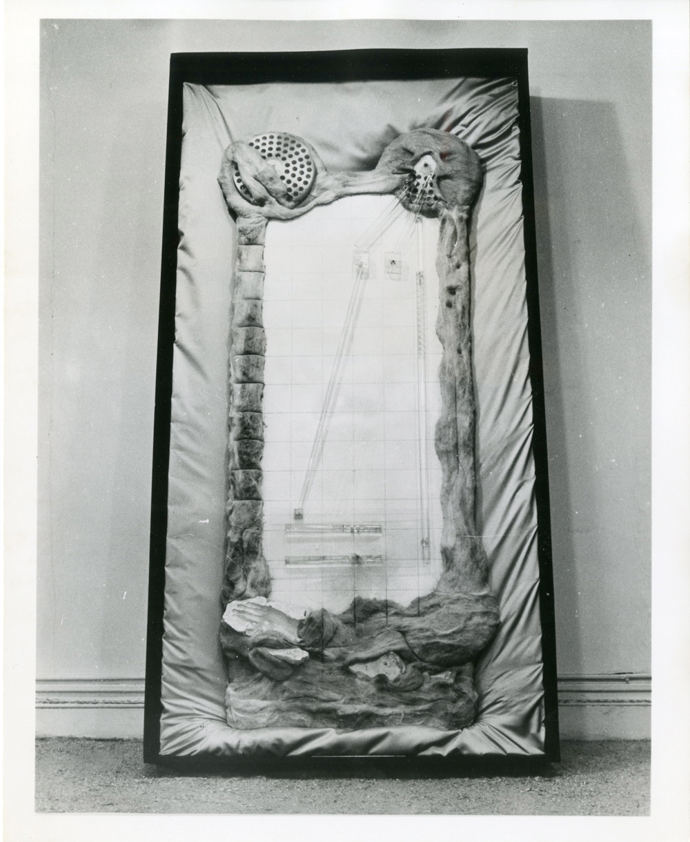 Ambiguous Zones, 11 – Reversible Destiny Foundation