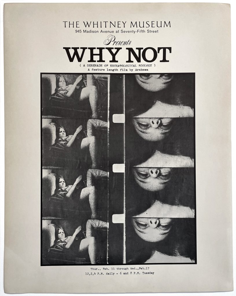 Ambiguous Zones, 15 – Reversible Destiny Foundation